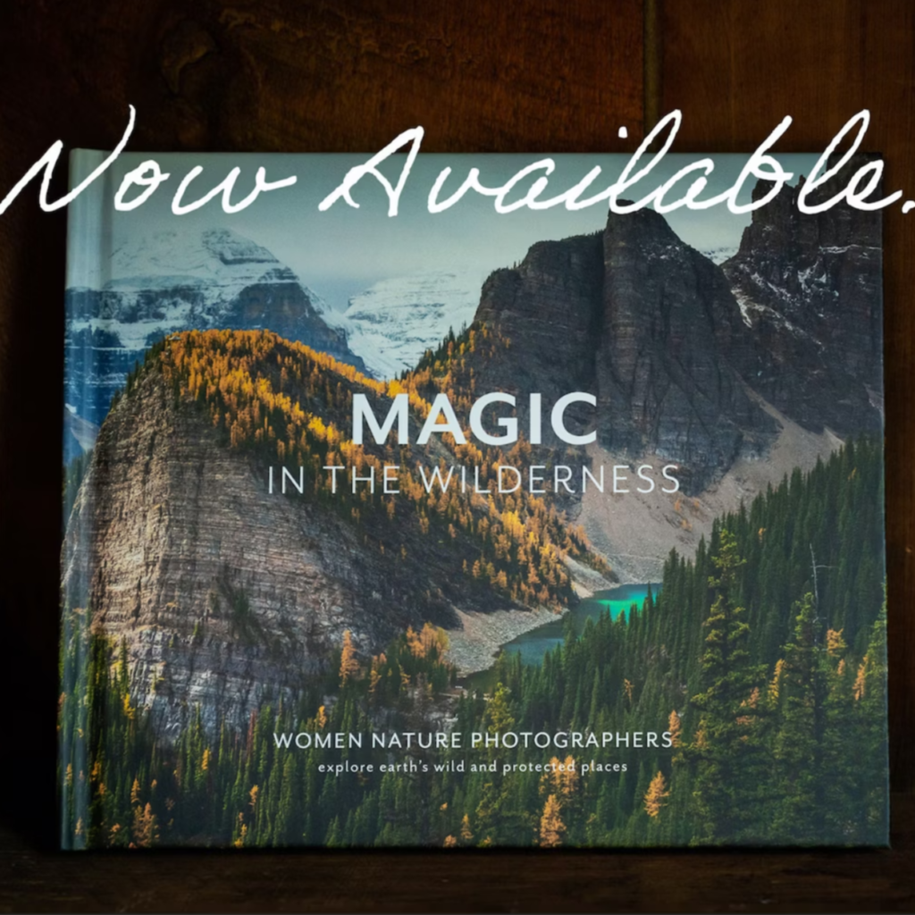 Magic in the Wilderness – Book Now Available - KC Hulsman Photography